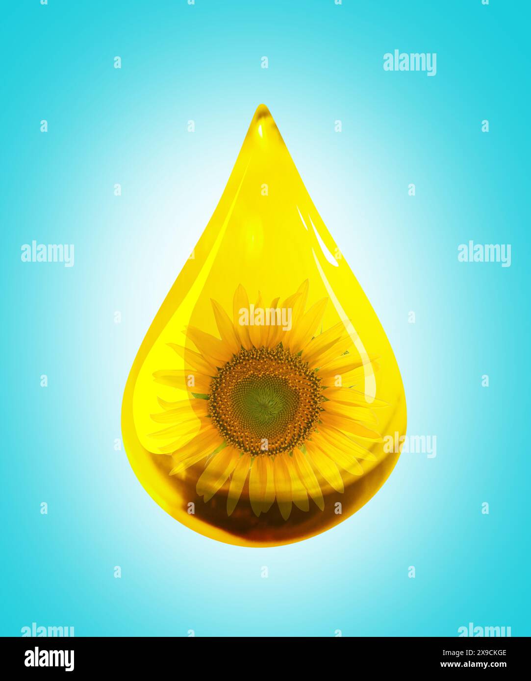 Cooking oil drop with sunflower inside on light blue background Stock ...