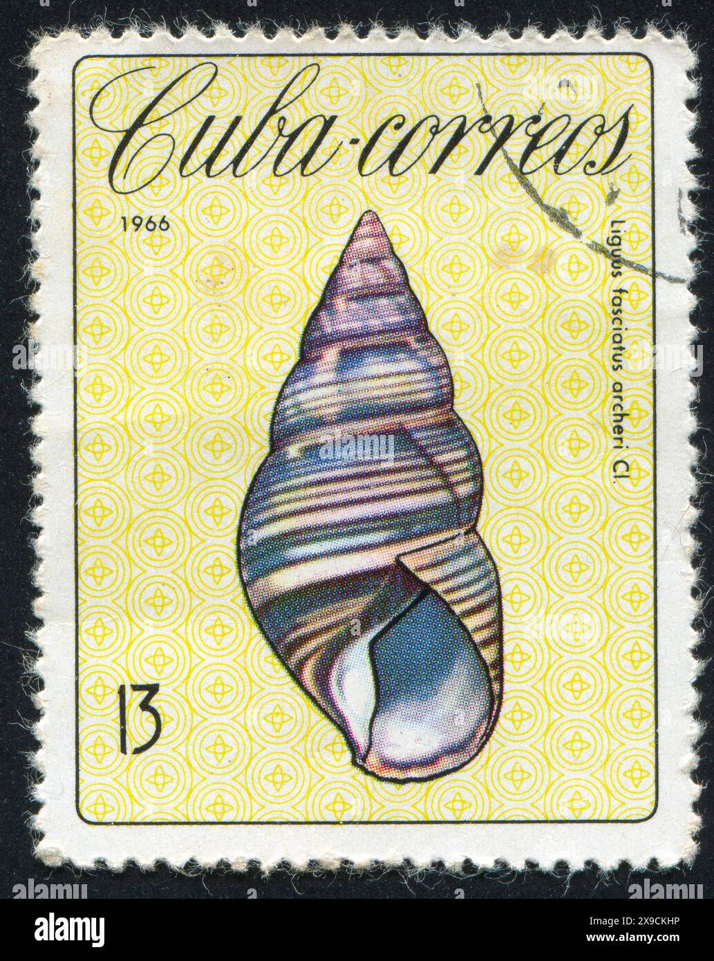 CUBA - CIRCA 1966: stamp printed by Cuba, shows Sea shell, circa 1966 ...