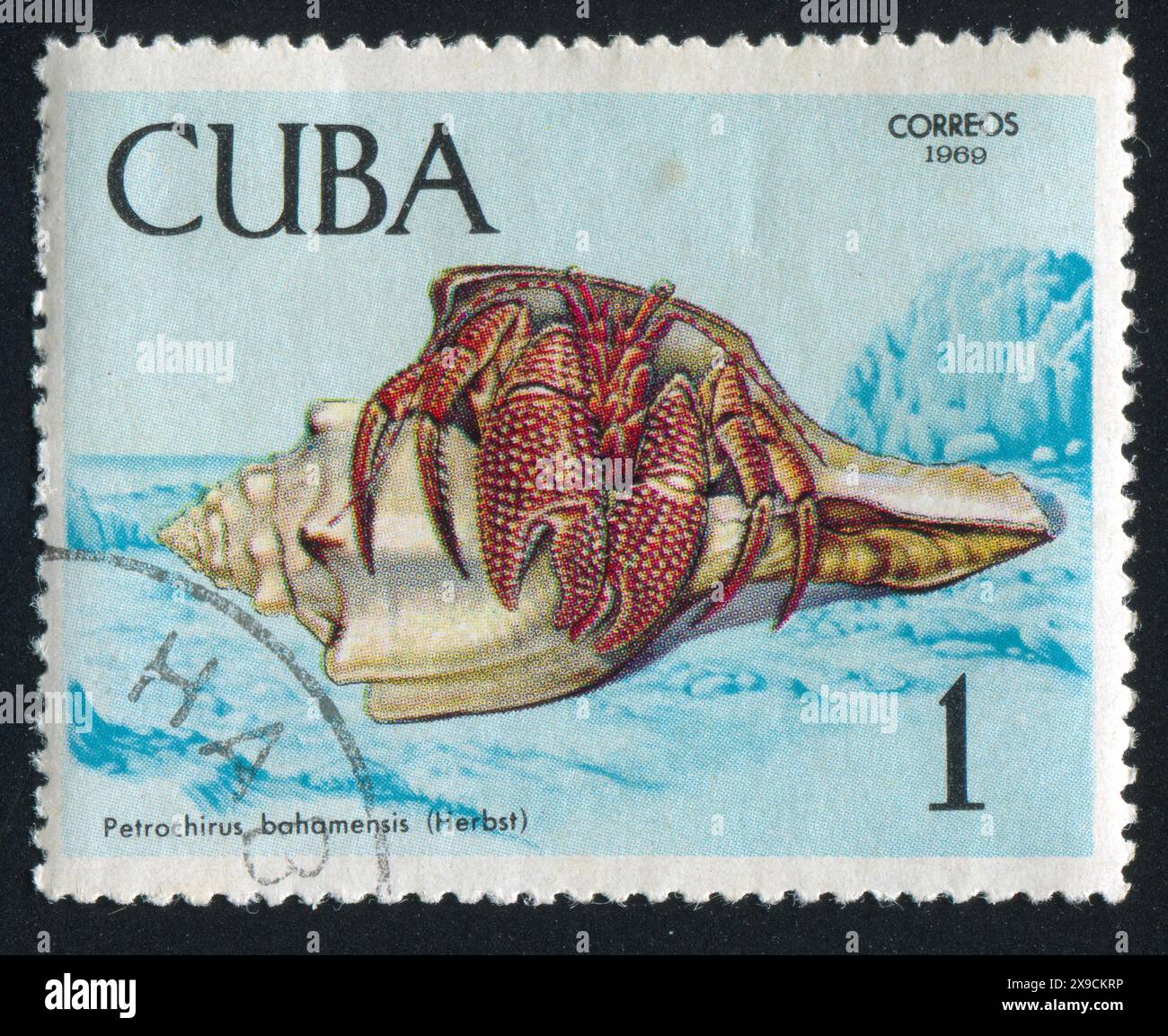 CUBA - CIRCA 1969: stamp printed by Cuba, shows Crab Petrochirus ...