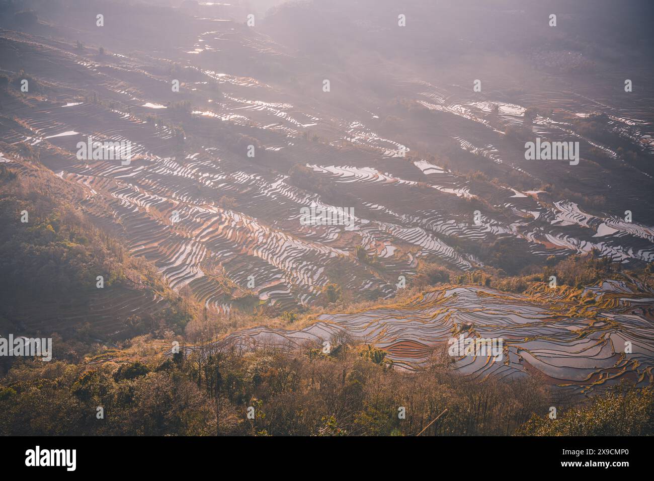 Terraced Hani Rice Fields Scenery in Spring Water Season in South China ...
