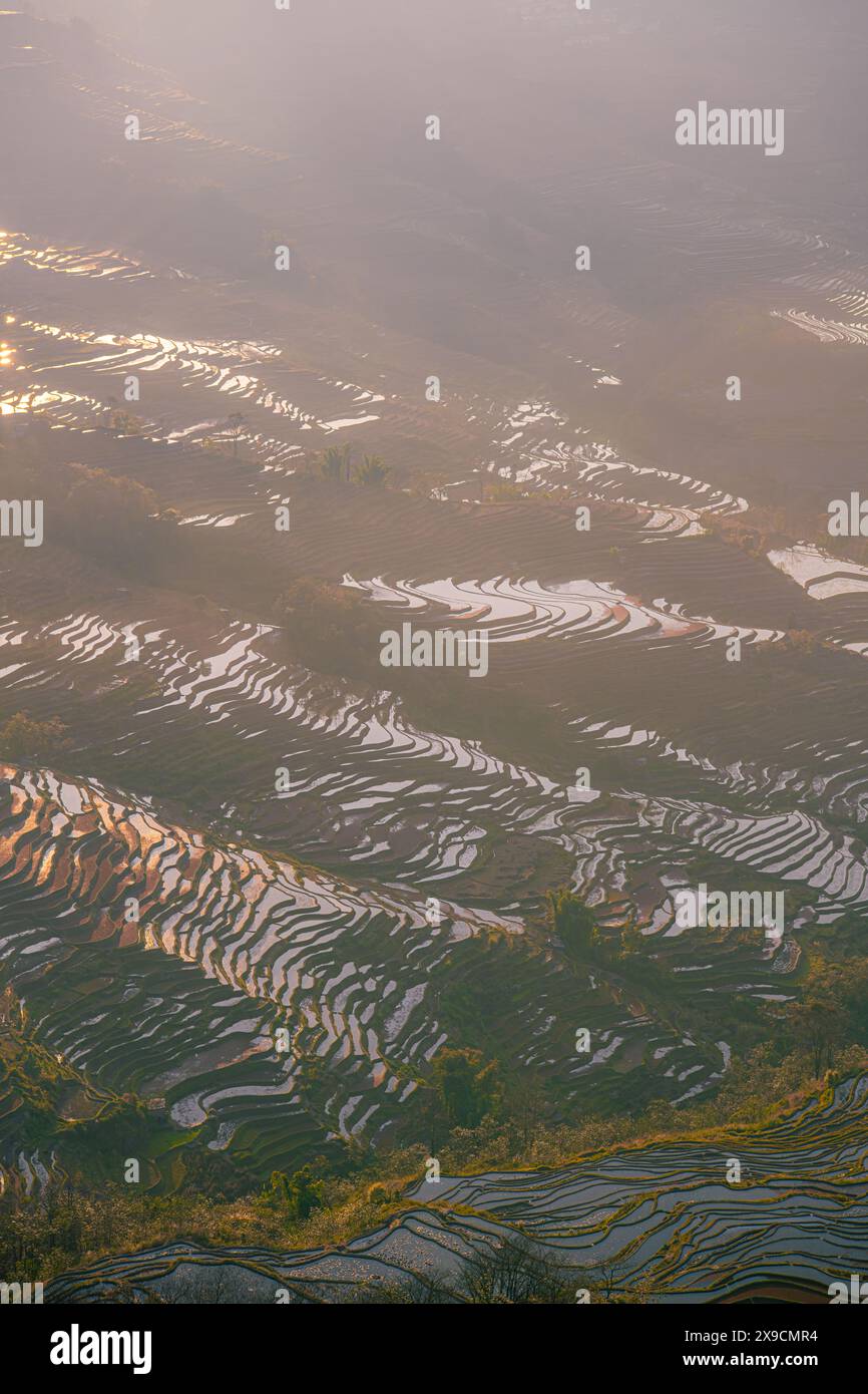Paddy fields, Rice terraces. In Yunnan province China. Bada rice ...