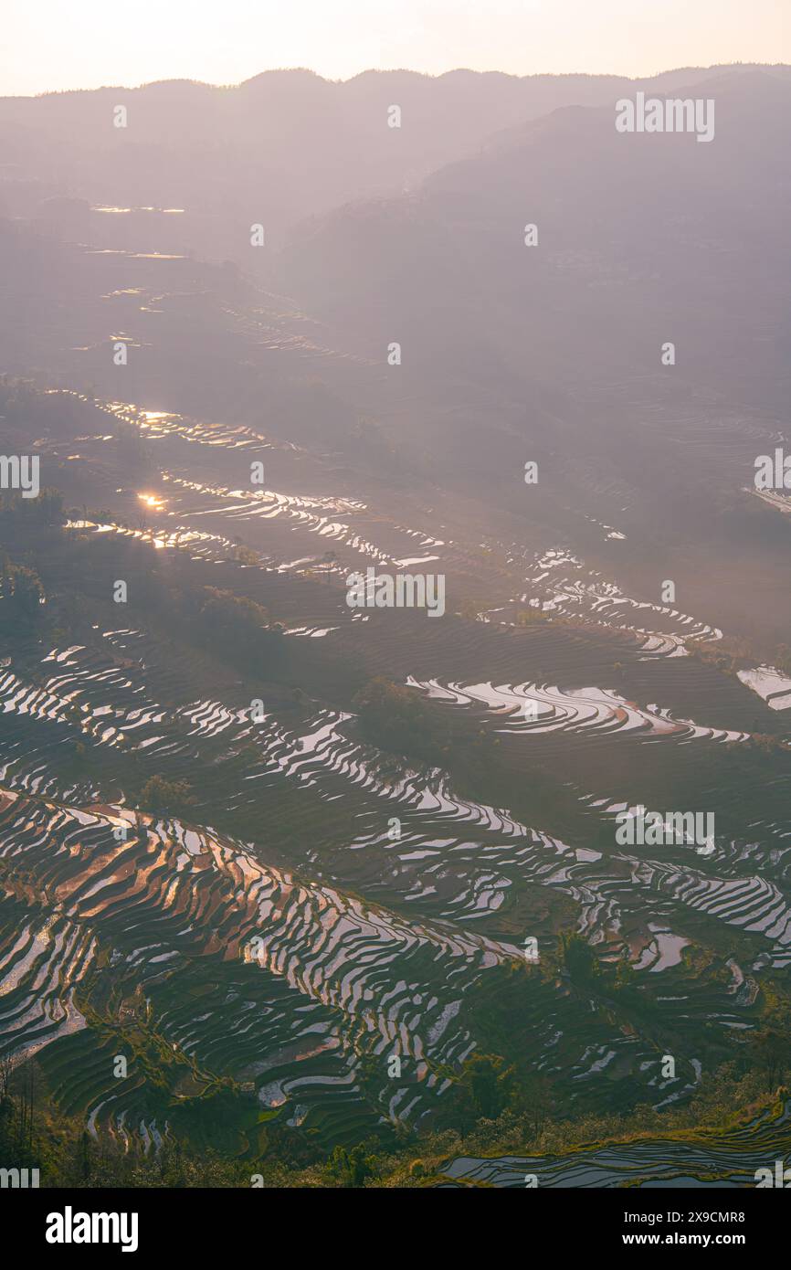 Vertical image of beautiful setting sun light above Bada Rice terraces ...