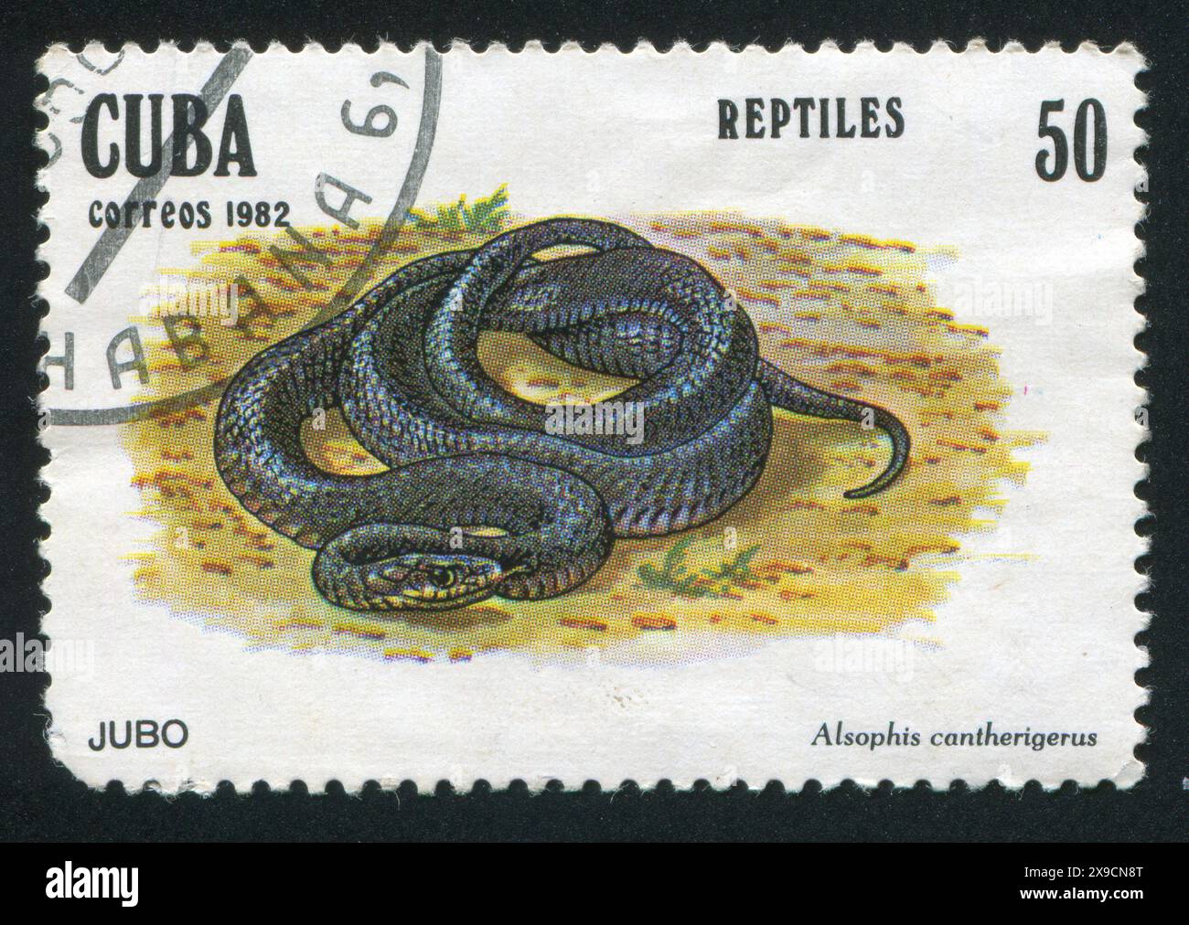 CUBA - CIRCA 1982: stamp printed by Cuba, shows Snake Alsophis ... CUBA - CIRCA 1982: stamp printed by Cuba, shows Snake Alsophis ...
