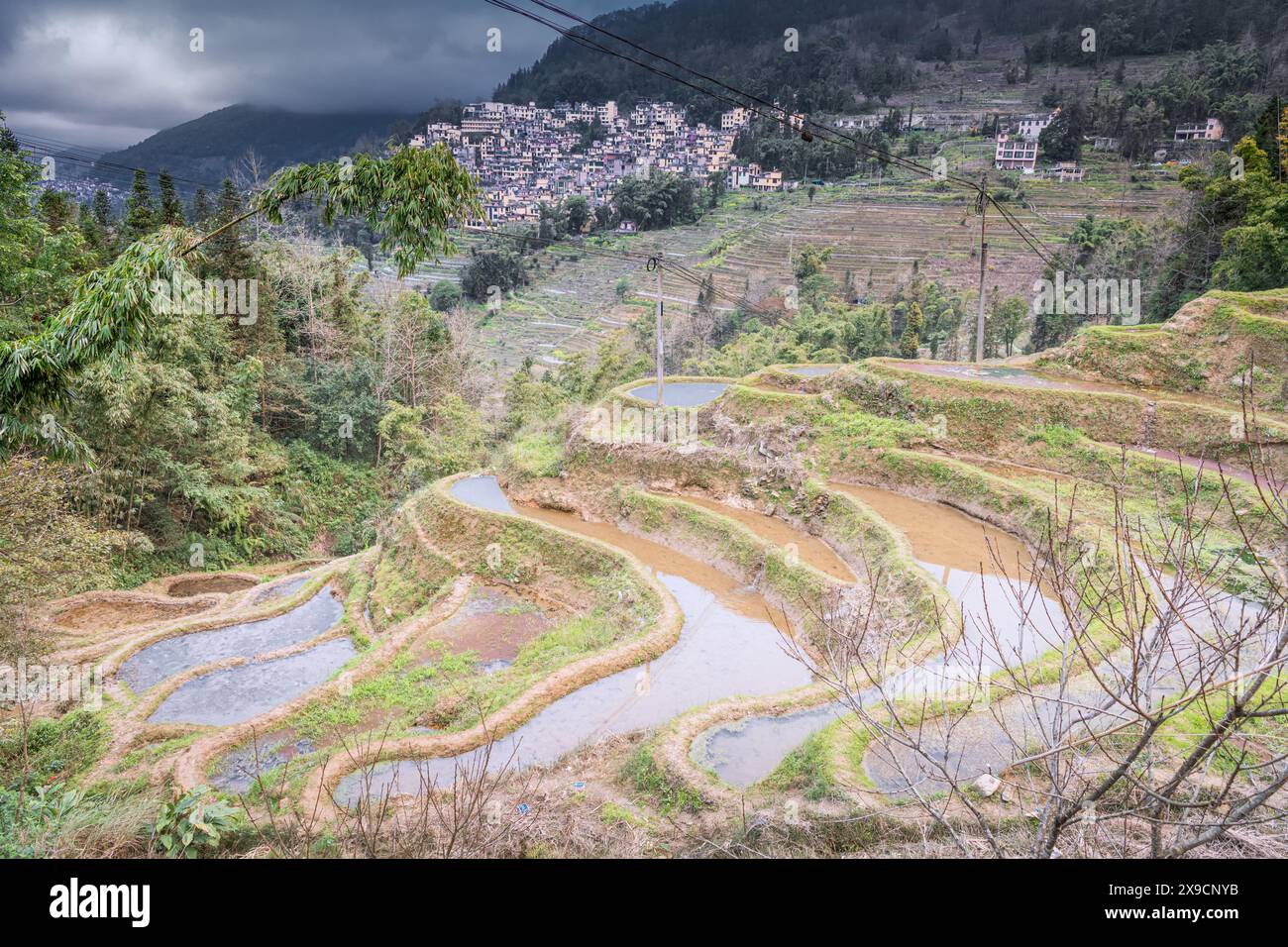 Terraced Rice fields filled with water during spring. The beautiful ...