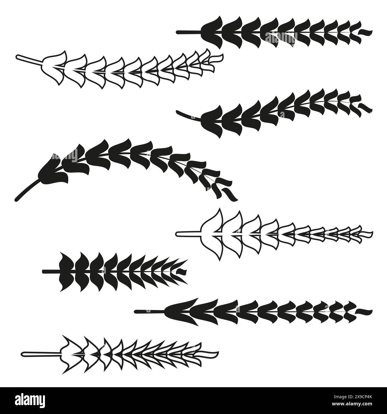 Wheat spike silhouettes. Black and white design. Various shapes ...