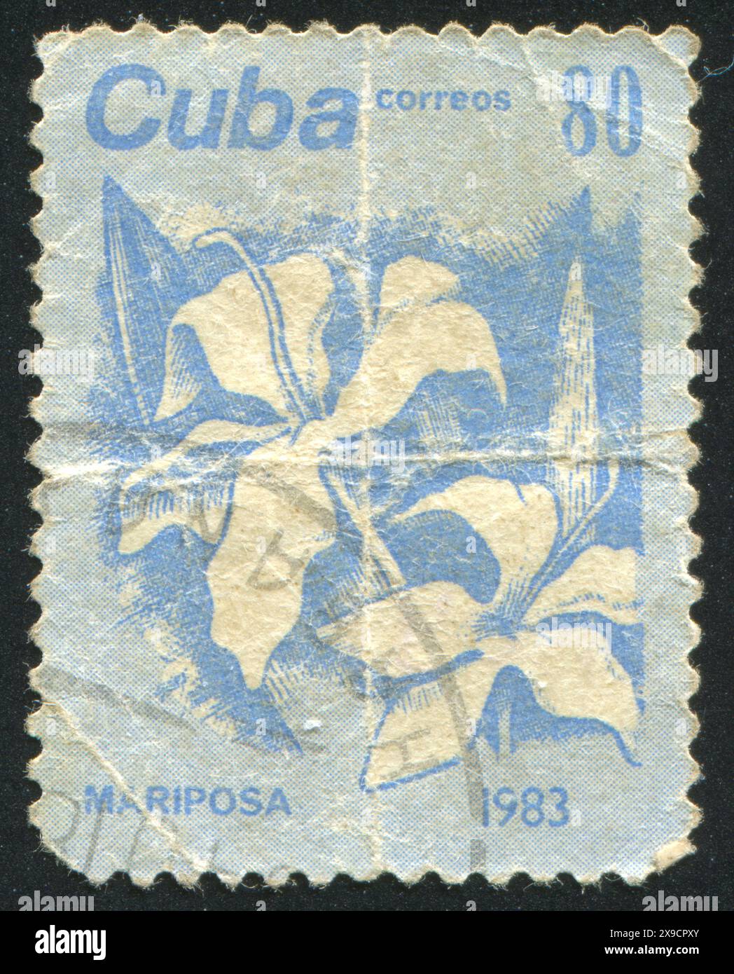 CUBA - CIRCA 1983: stamp printed by Cuba, shows Mariposa, circa 1983 ...