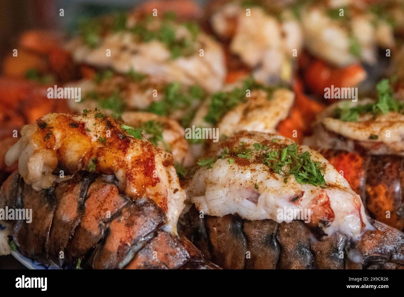 Bunch of Broiled Lobster Tails for a dinner party Stock Photo - Alamy