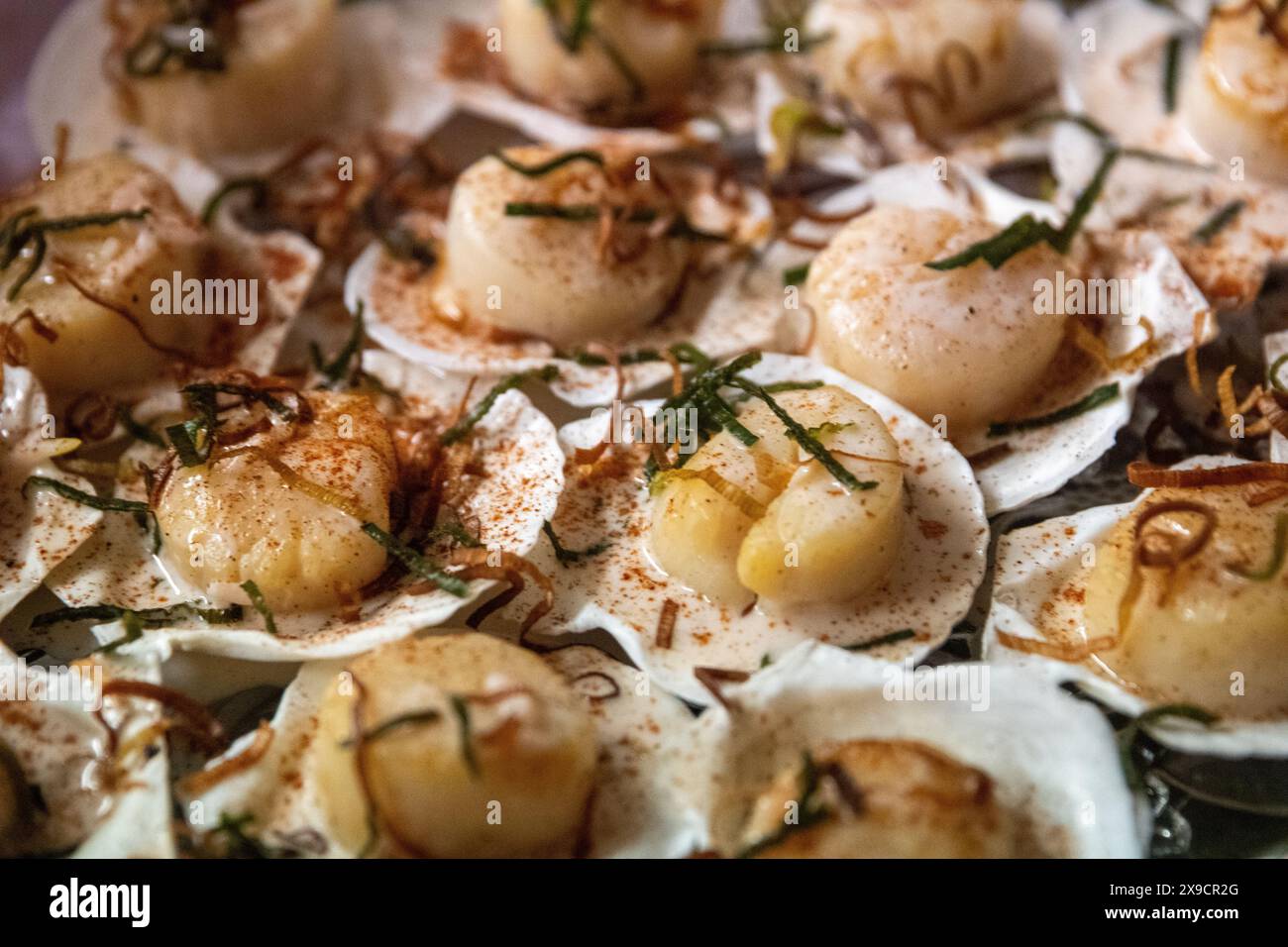 Seared Giant Scallops with sauce on the shell Stock Photo - Alamy