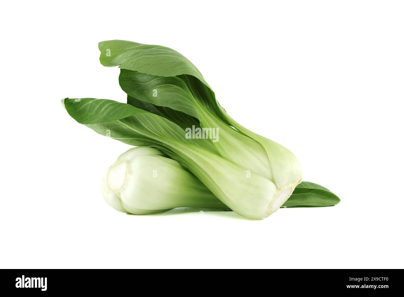 Brassica rapa chinensis group Cut Out Stock Images & Pictures - Alamy