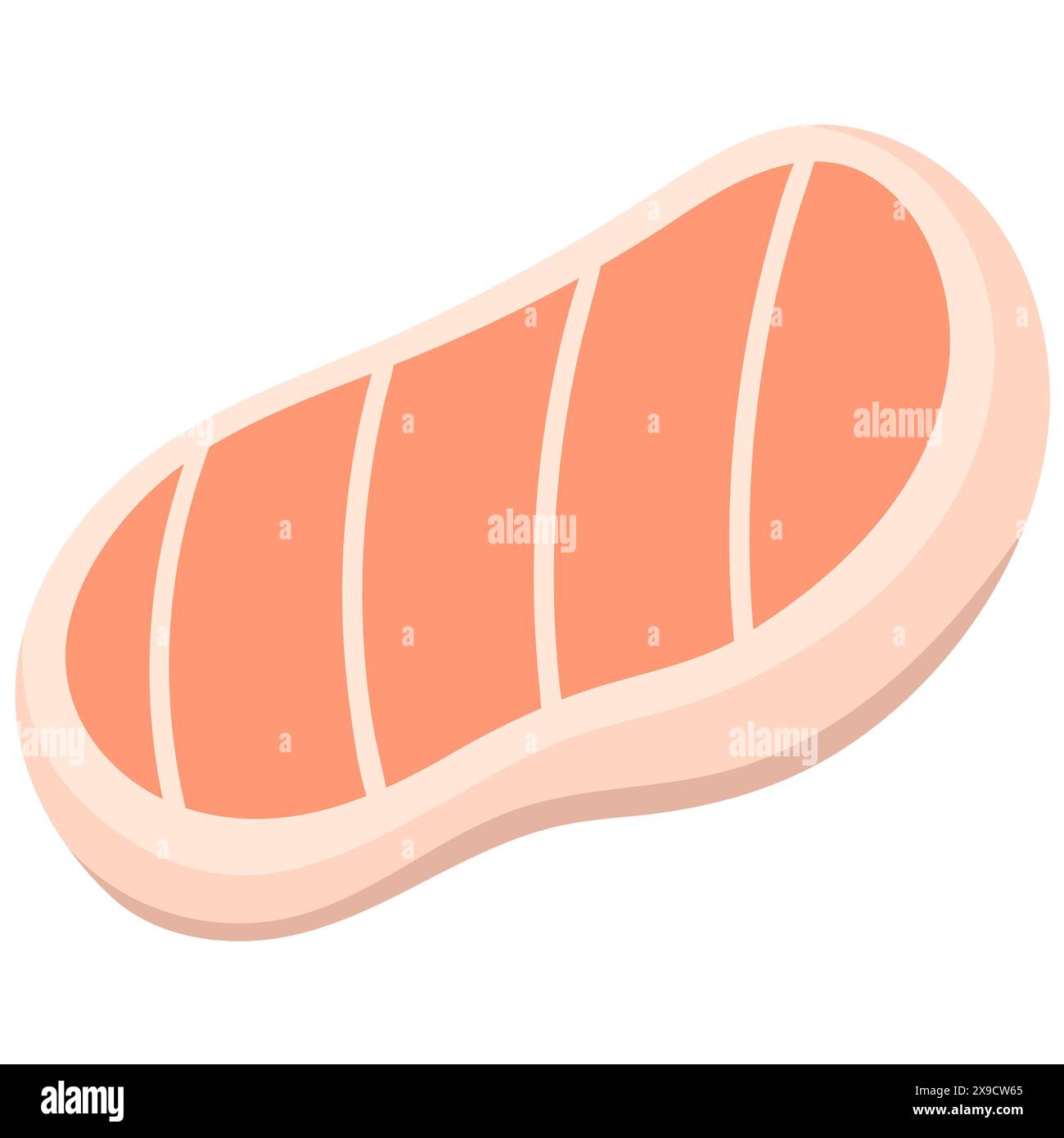 flat illustration of food icons, fresh beef cuts, creative drawing ...