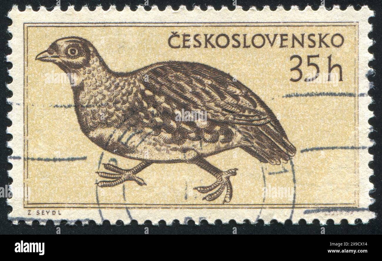 CZECHOSLOVAKIA - CIRCA 1955: stamp printed by Czechoslovakia, shows ...
