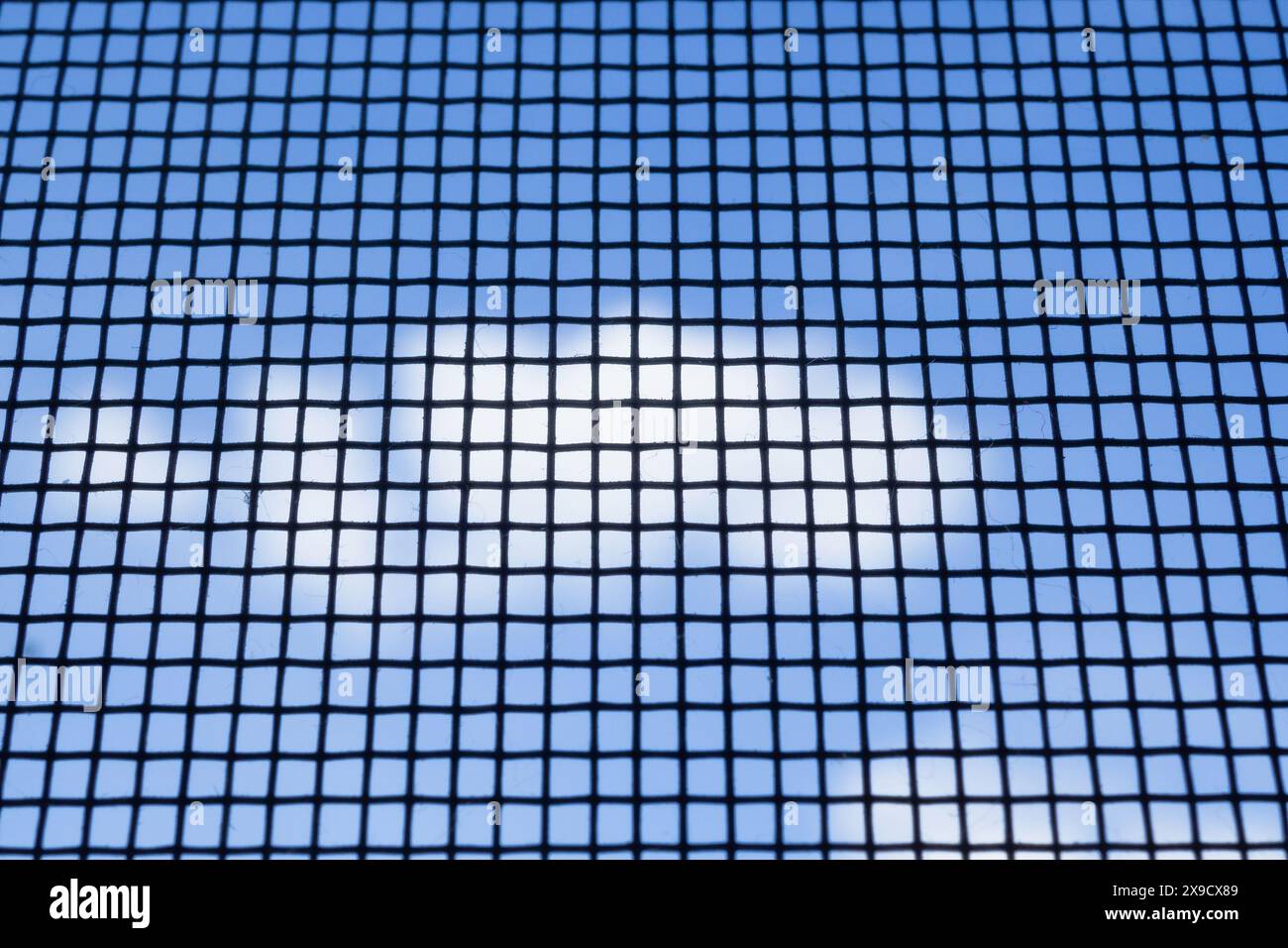 mosquito net window wire screen closeup Stock Photo - Alamy