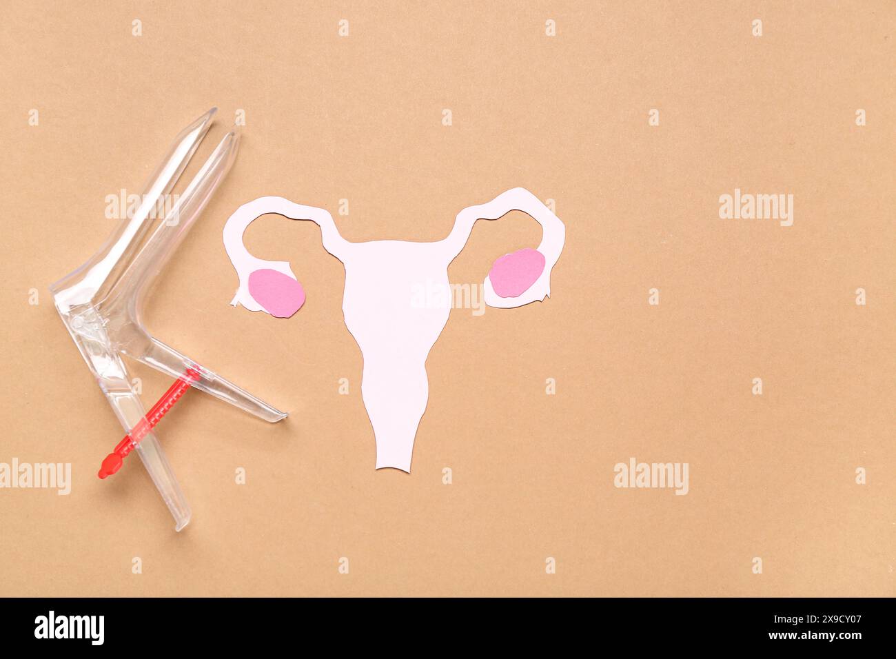 Paper uterus with gynecological speculum on brown background Stock ...