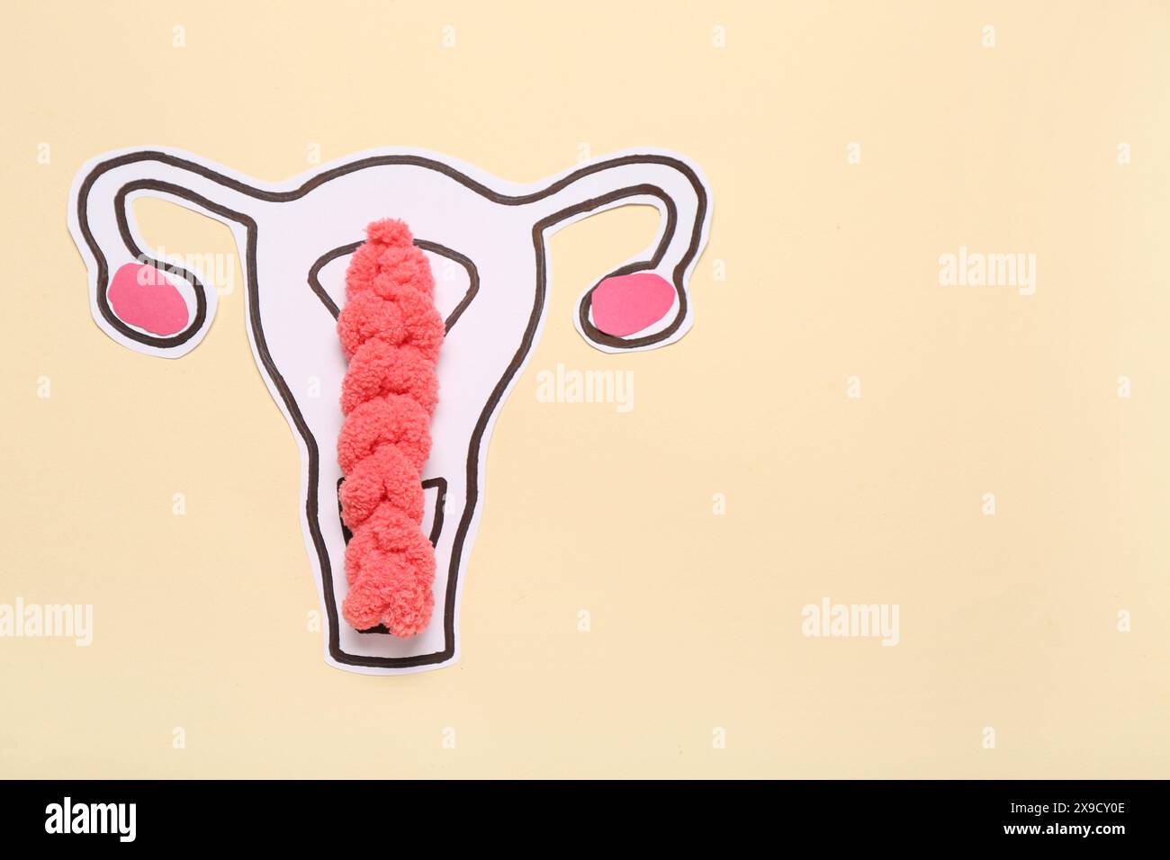 Paper uterus on beige background Stock Photo - Alamy