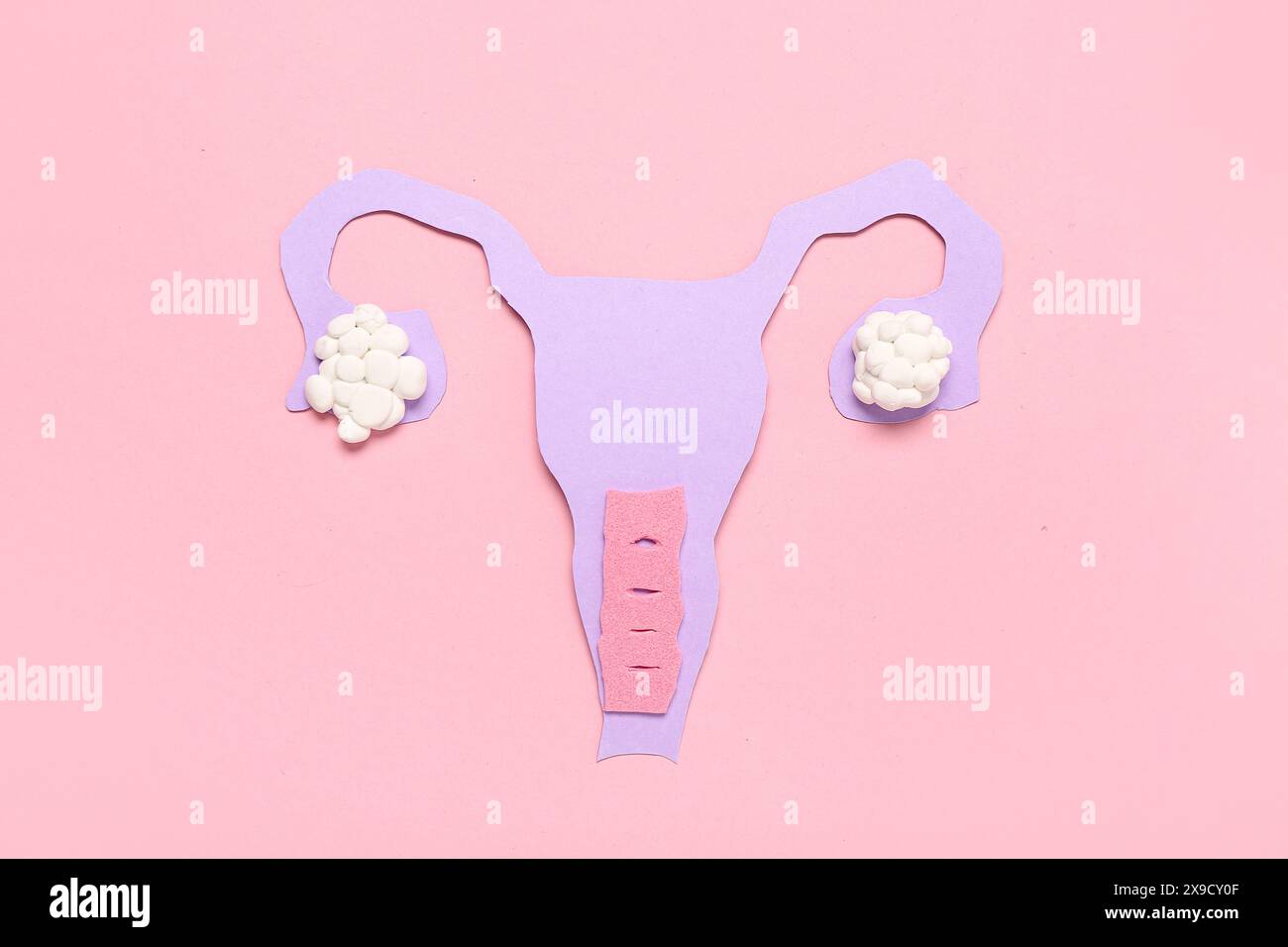Pink female uterus on hi-res stock photography and images - Alamy