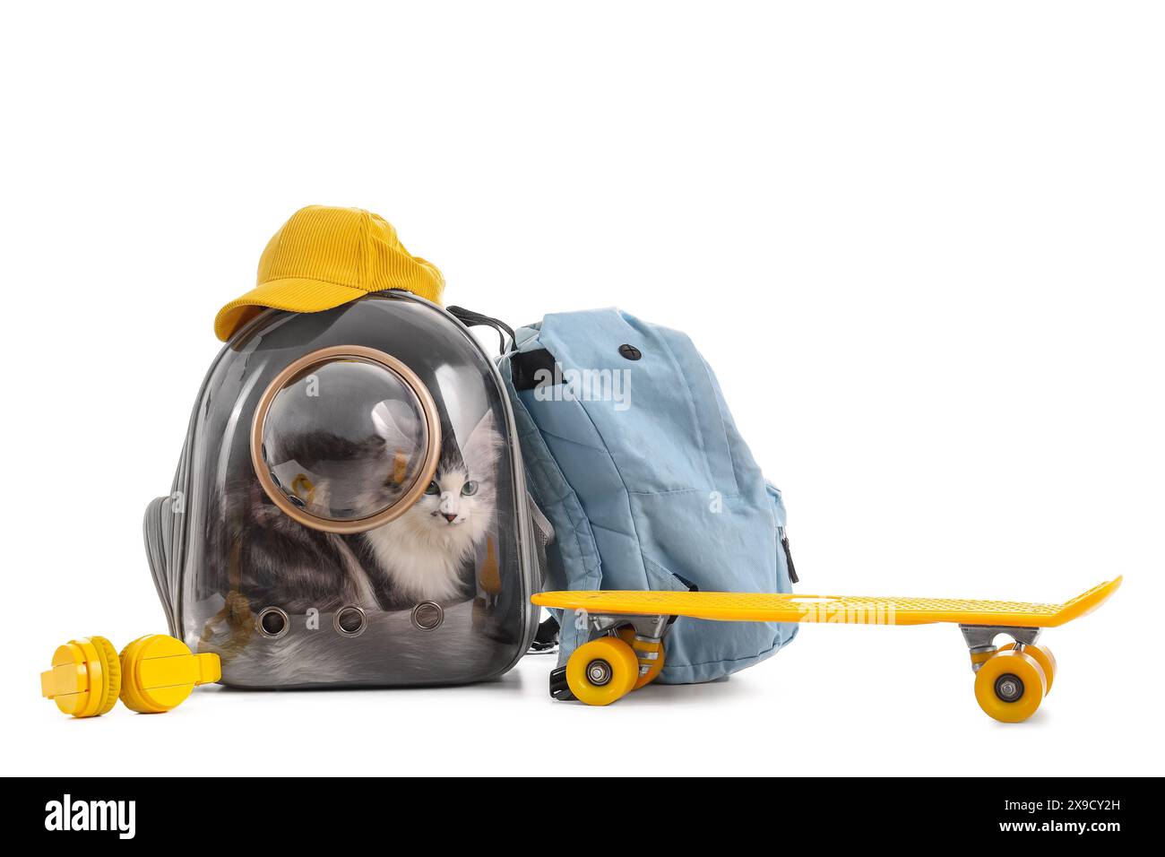 Cute cat in backpack carrier with cap, skateboard and headphones on ...