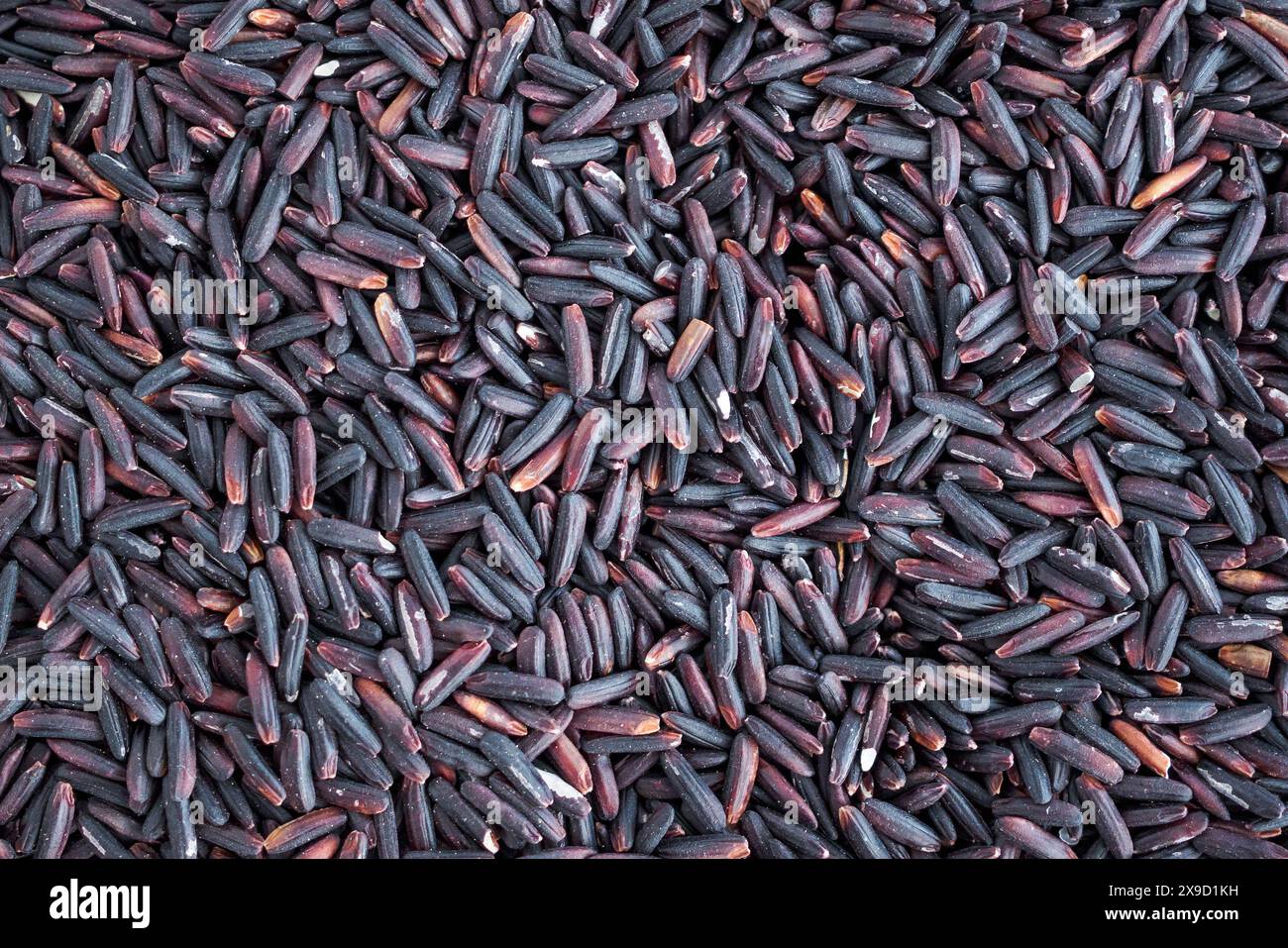 raw organic Thailand riceberry rice texture background Stock Photo - Alamy