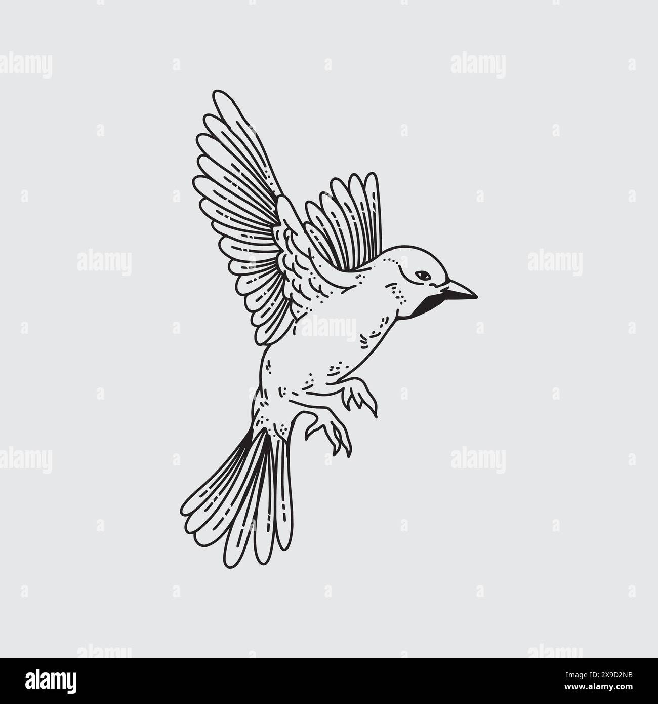 A flying bird drawing vector art Stock Vector Image & Art - Alamy