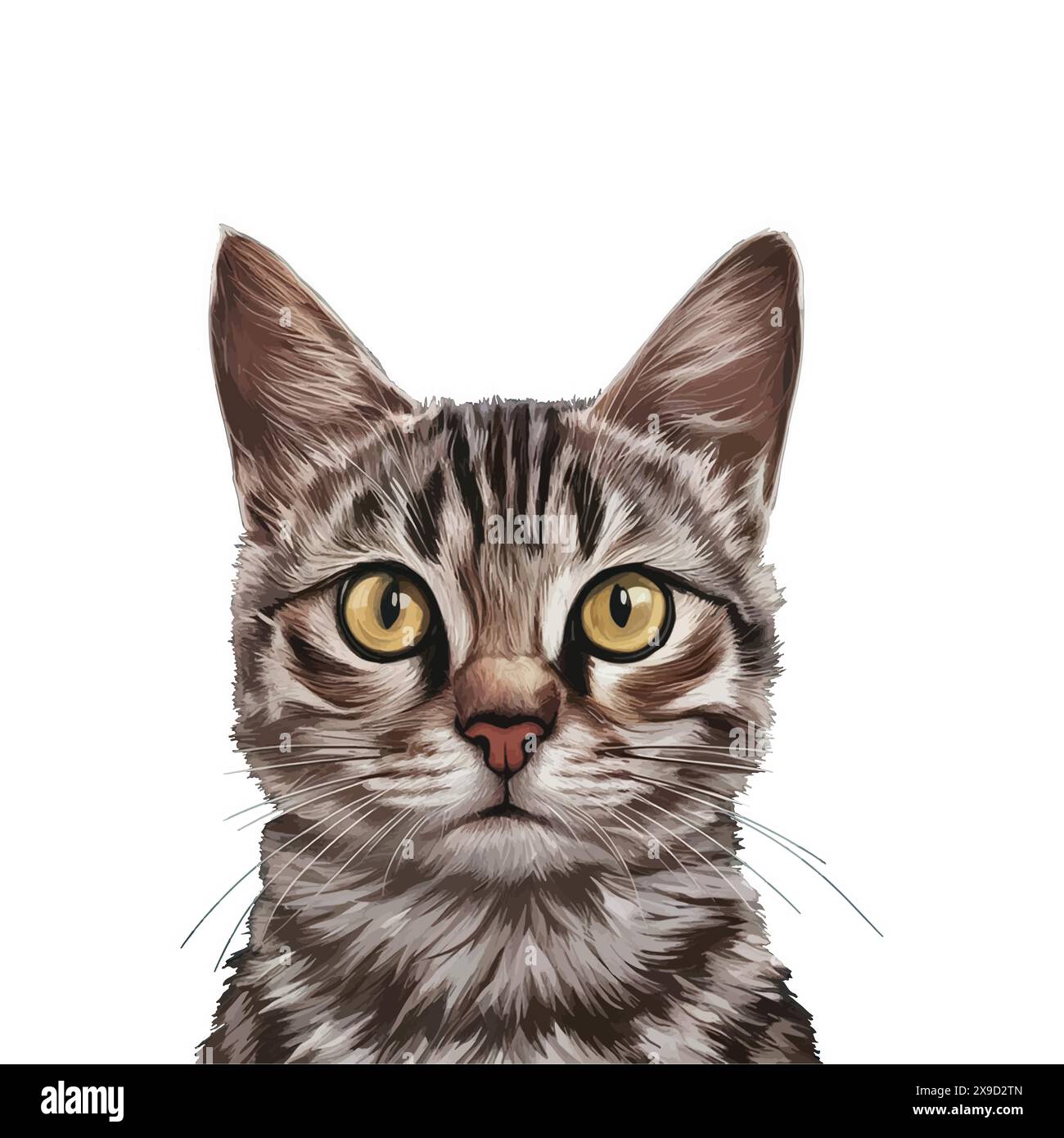 Portrait of tabby and white cat Stock Vector Images - Alamy