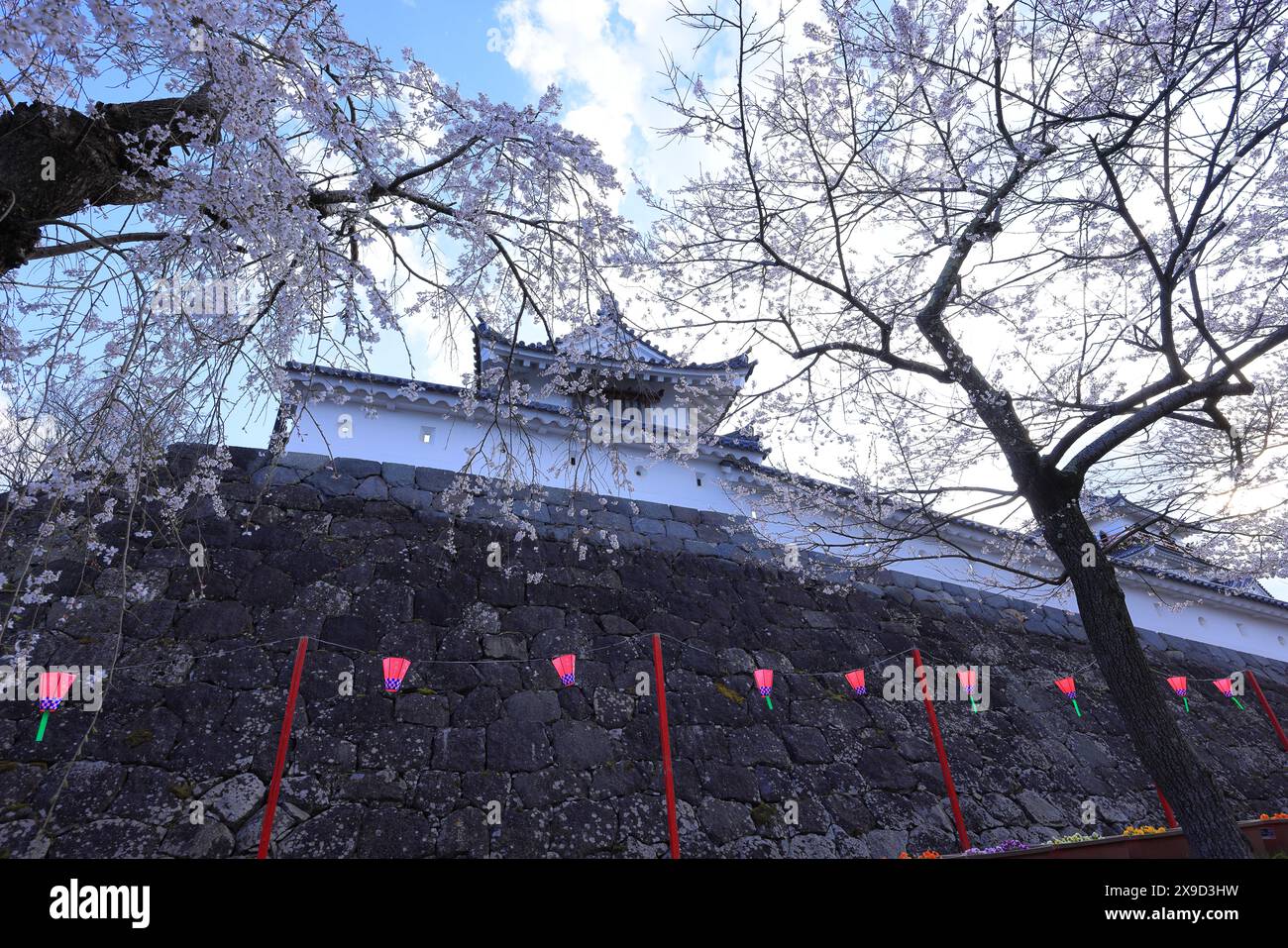 Cherry blossoms at Shiroishi Castle, a Restored 16th-century castle at ...