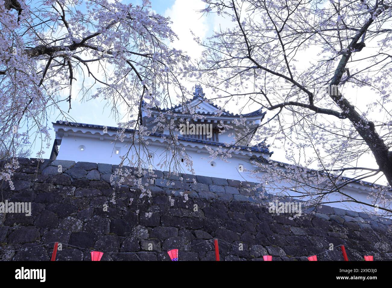 Cherry blossoms at Shiroishi Castle, a Restored 16th-century castle at ...