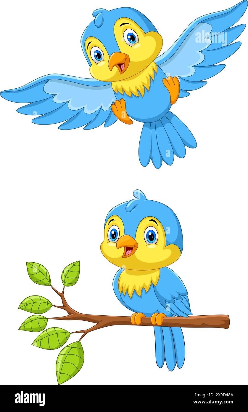 Cute bird cartoon isolated on white background Stock Vector Image & Art ...