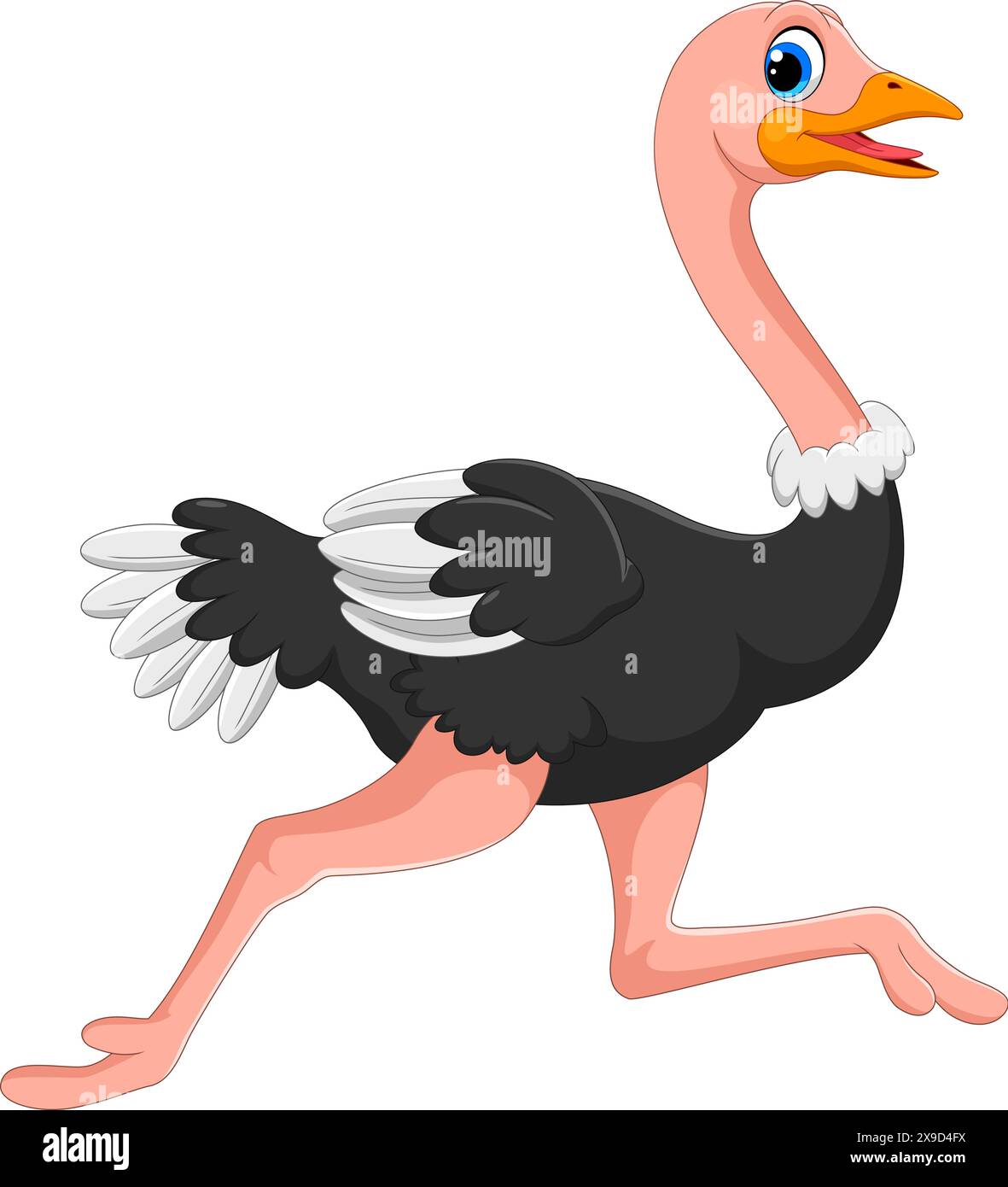 Cute ostrich cartoon isolated on white background Stock Vector Image ...