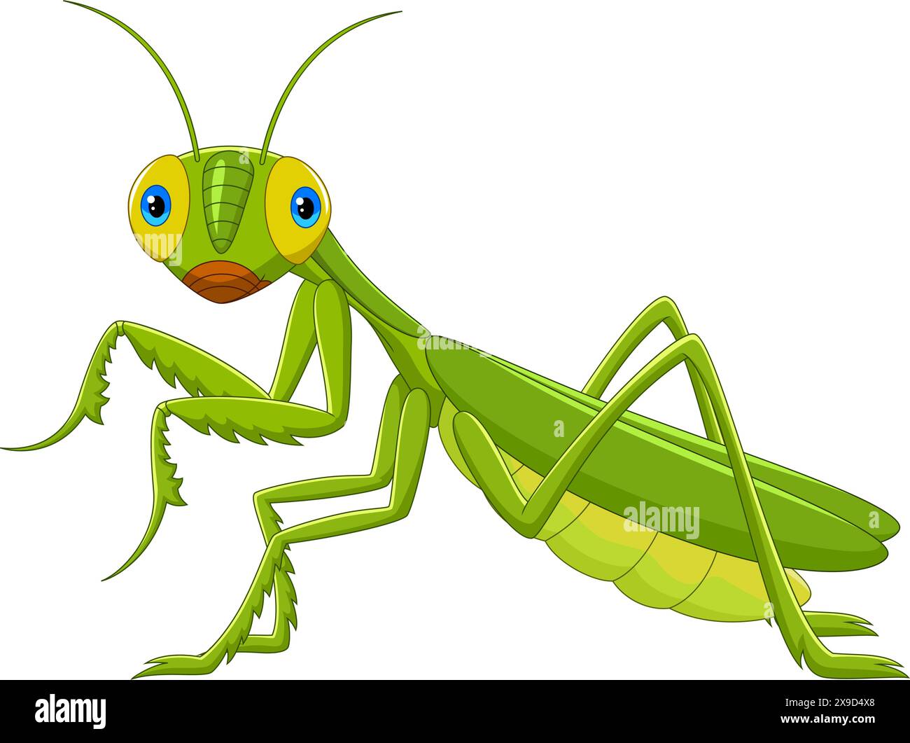 Cute grasshopper cartoon - Green Mantis Stock Vector Image & Art - Alamy