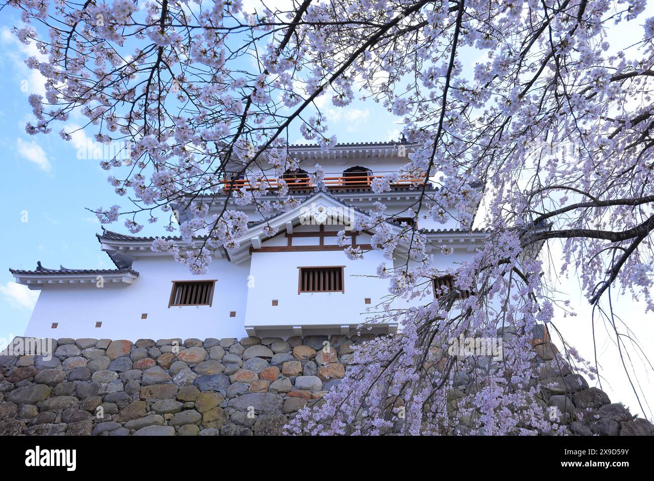 Cherry blossoms at Shiroishi Castle, a Restored 16th-century castle at ...