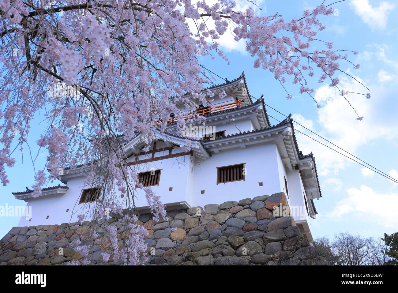 Cherry blossoms at Shiroishi Castle, a Restored 16th-century castle at ...