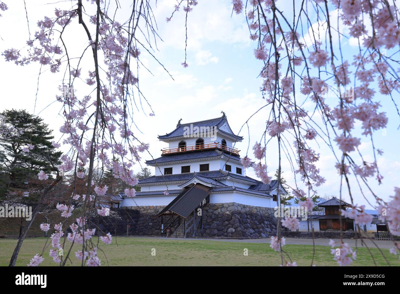 Cherry blossoms at Shiroishi Castle, a Restored 16th-century castle at ...