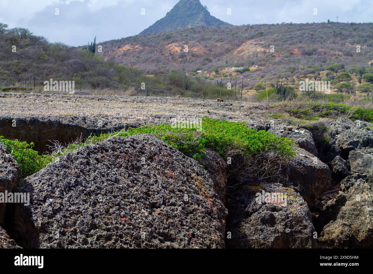 Volcanic Rock Basaltic Formation in Curaçao Stock Photo - Alamy
