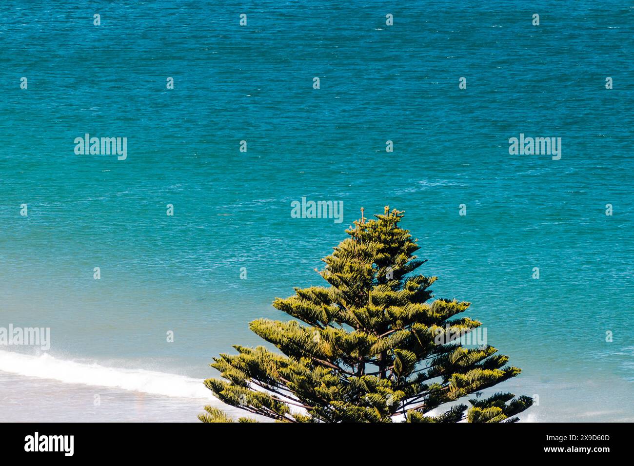 detail of Kingston Beach from the hills above it, popular destination ...