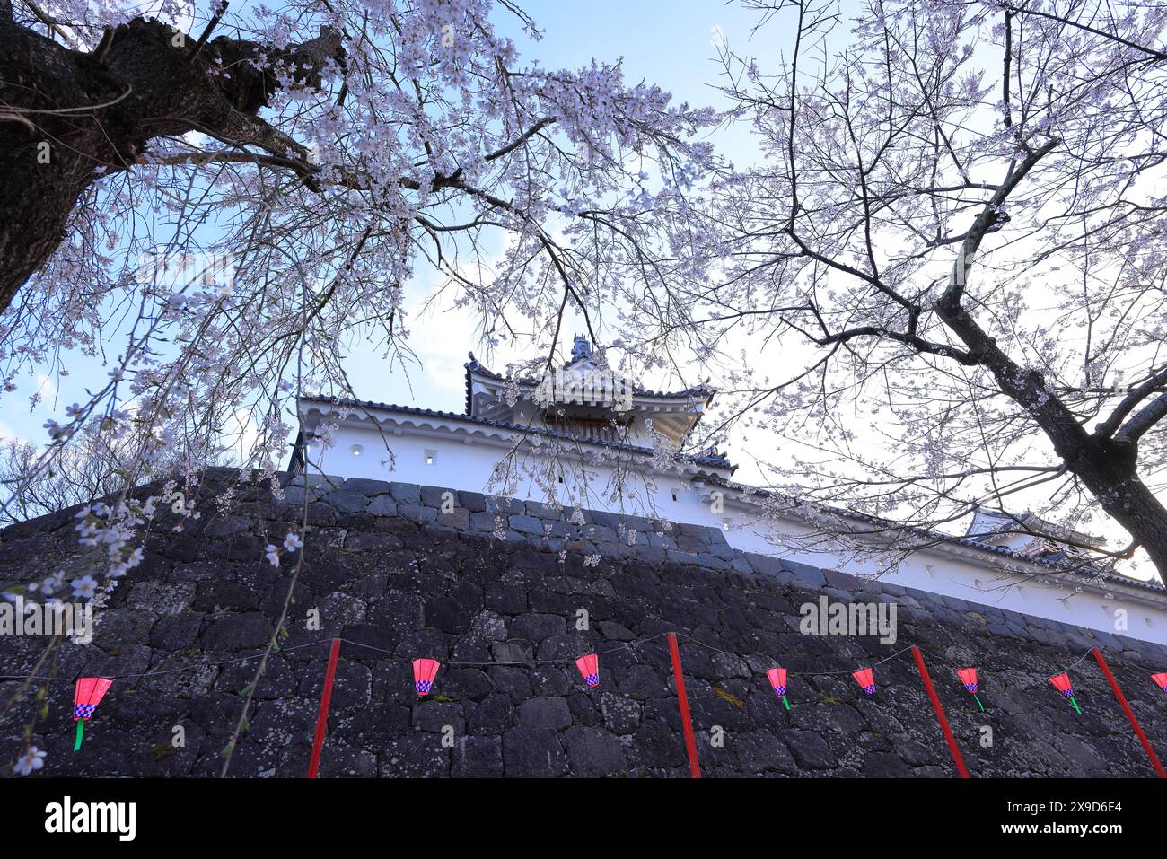 Cherry blossoms at Shiroishi Castle, a Restored 16th-century castle at ...