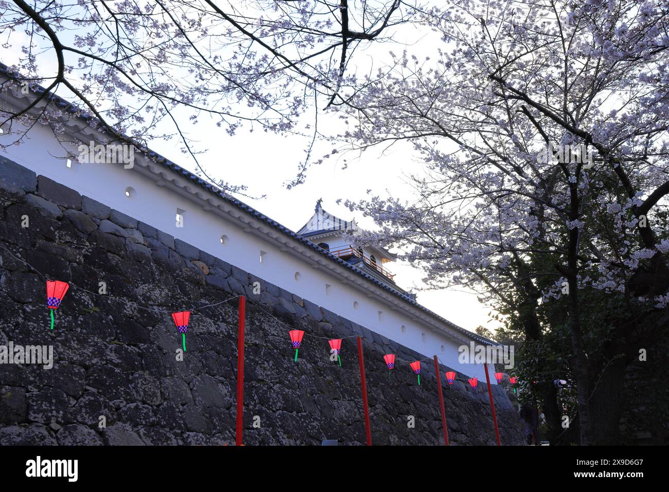 Cherry blossoms at Shiroishi Castle, a Restored 16th-century castle at ...