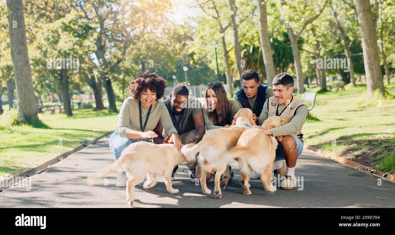 Park, friends and people with dogs in nature for walking, playing and ...