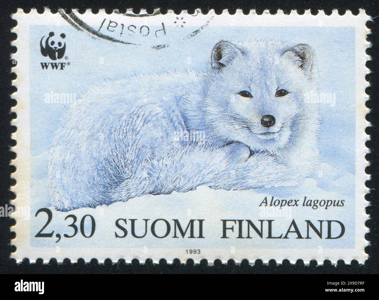 FINLAND - CIRCA 1993: stamp printed by Finland, shows Arctic fox, circa ...
