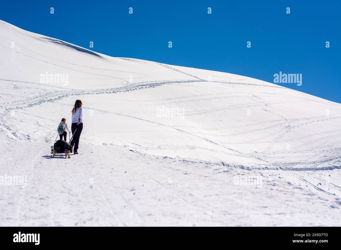 the woman pulls the sled to the top of the mountains Stock Photo - Alamy