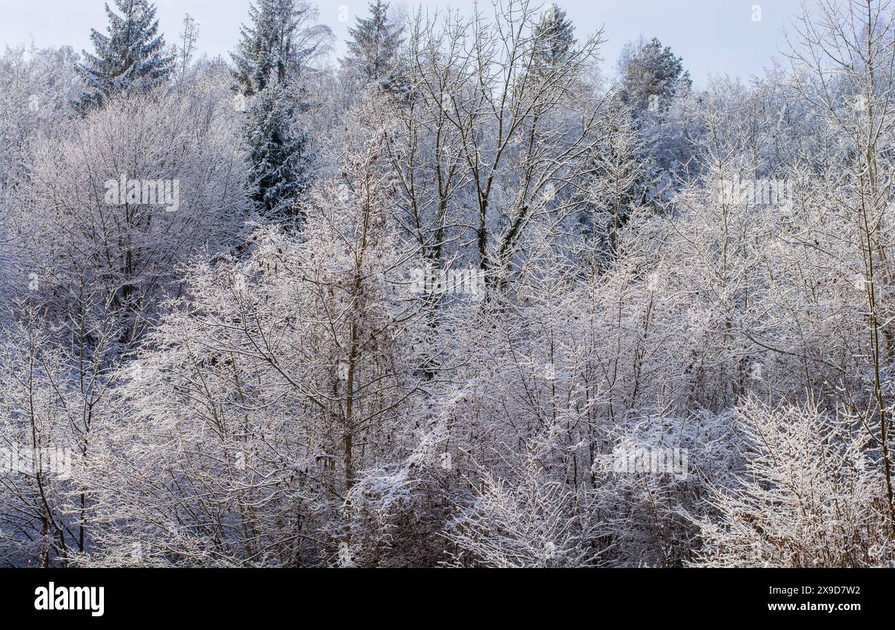 The first autumn snow on the Belluno Dolomites Stock Photo - Alamy