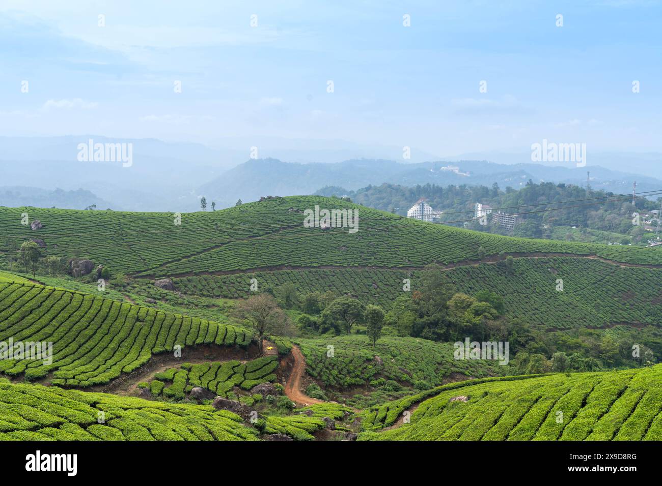 Munnar hill station and tea plantation in Kerala India Stock Photo - Alamy