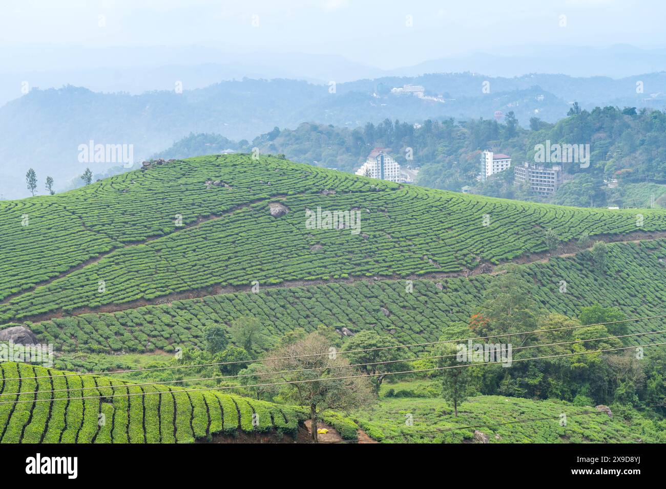 Munnar hill station and tea plantation in Kerala India Stock Photo - Alamy