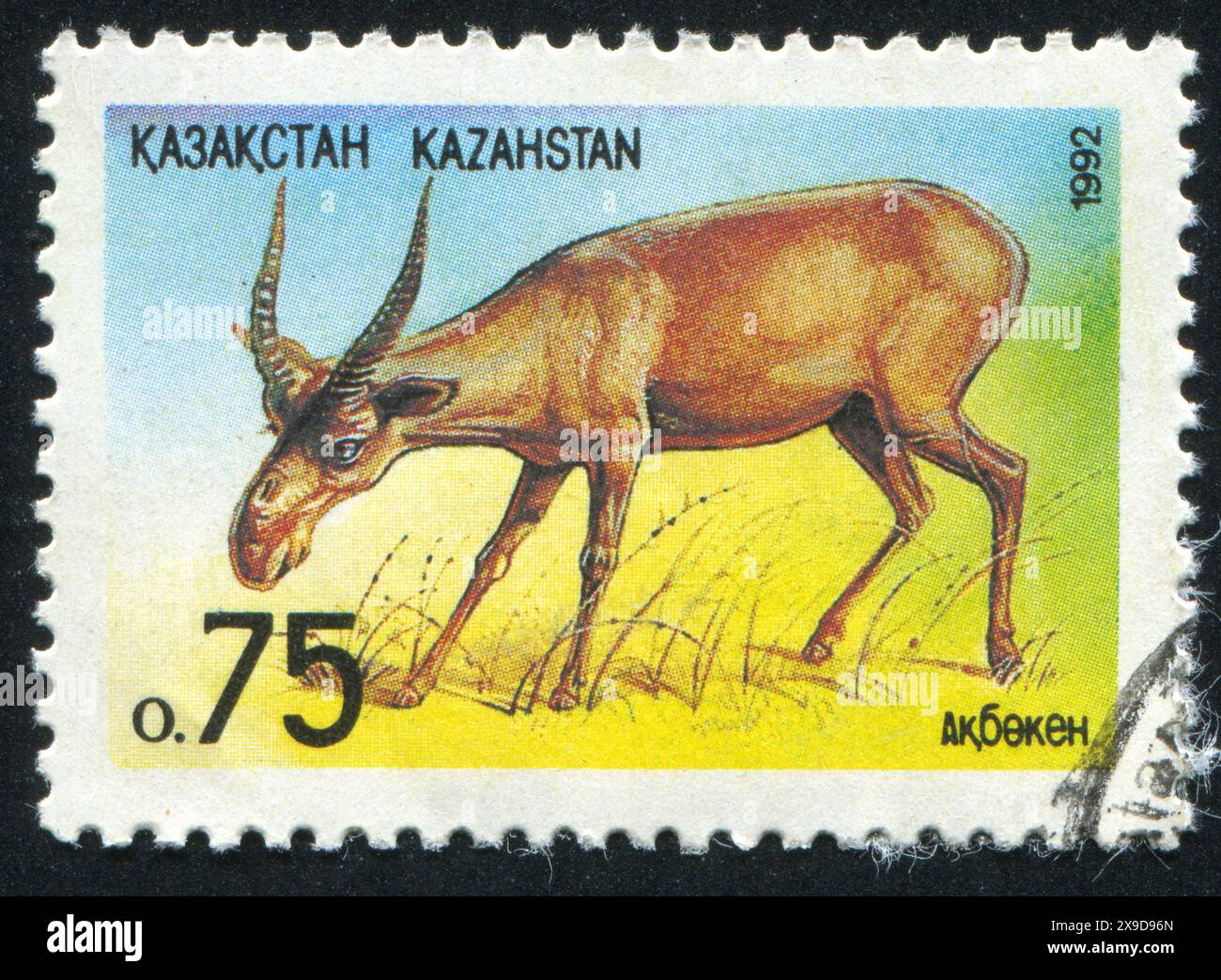 Saiga tatarica kazakhstan hi-res stock photography and images - Alamy