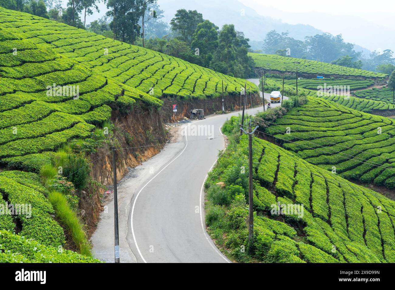 Munnar hill station and tea plantation in Kerala India Stock Photo - Alamy