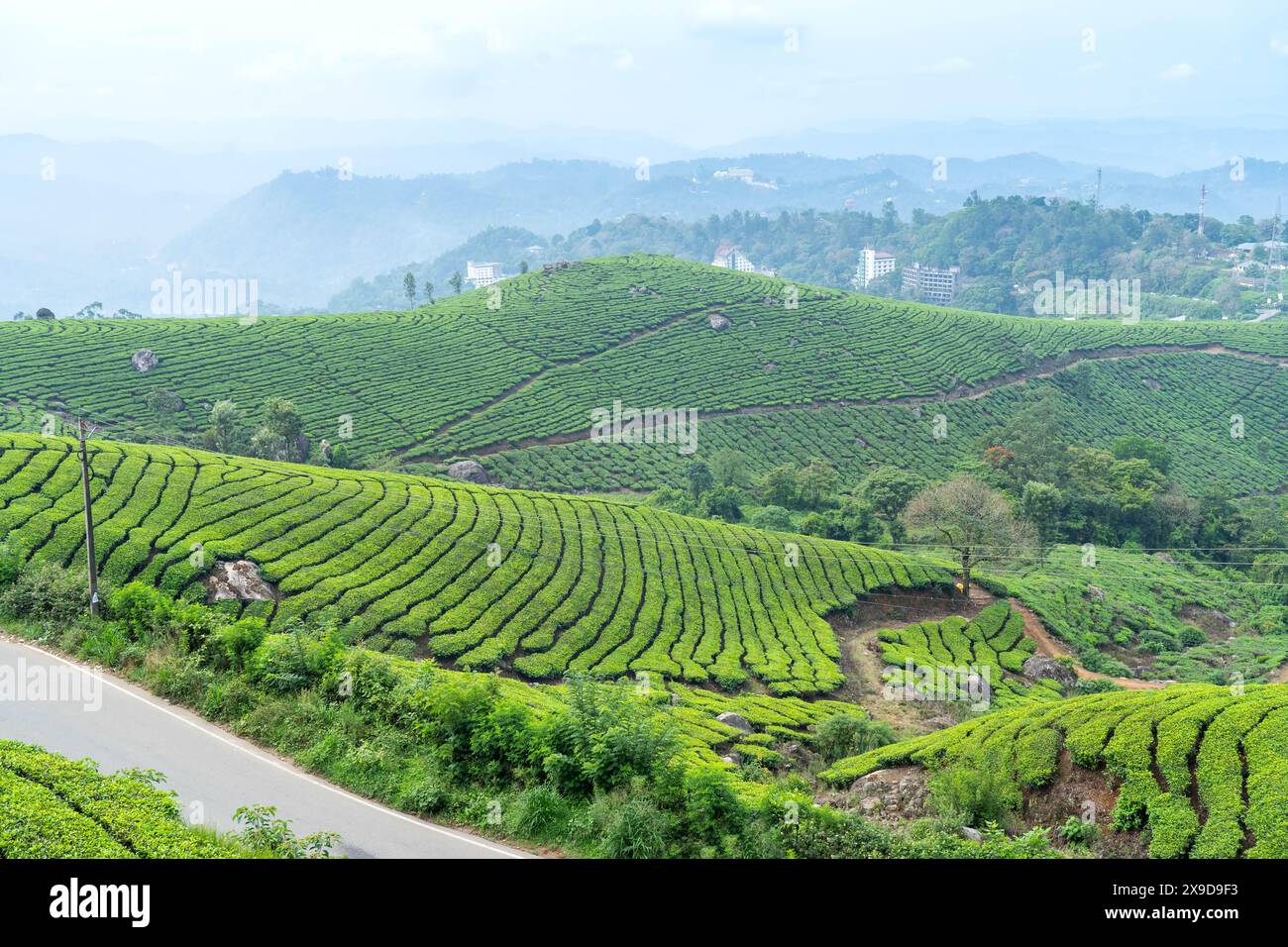 Munnar hill station and tea plantation in Kerala India Stock Photo - Alamy