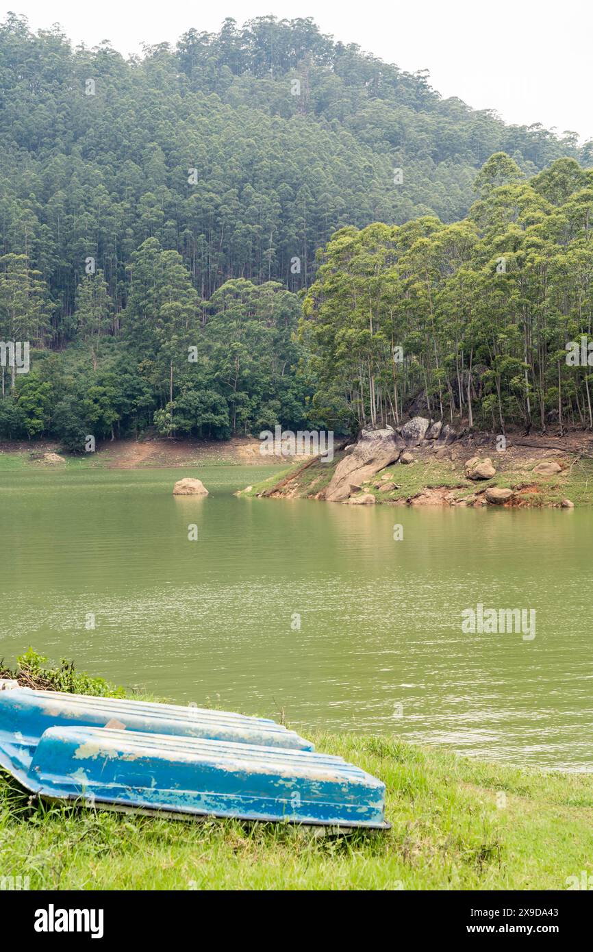 Mattupetty Dam, near Munnar in Idukki District, is a storage concrete ...