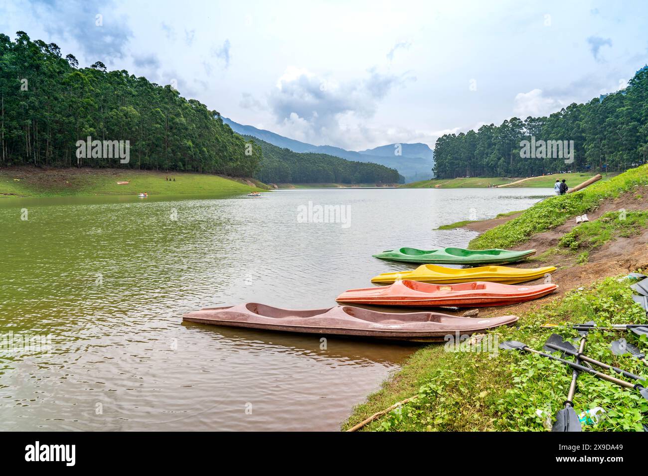Mattupetty Dam, near Munnar in Idukki District, is a storage concrete ...