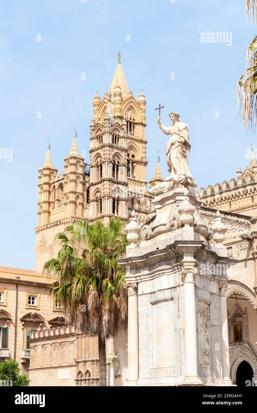 Cianella hi-res stock photography and images - Alamy