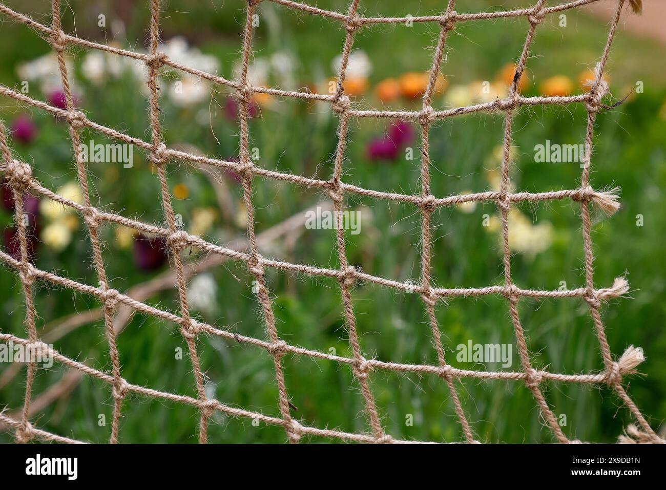 Closeup of a raffia square garden plant climbing support Stock Photo ...