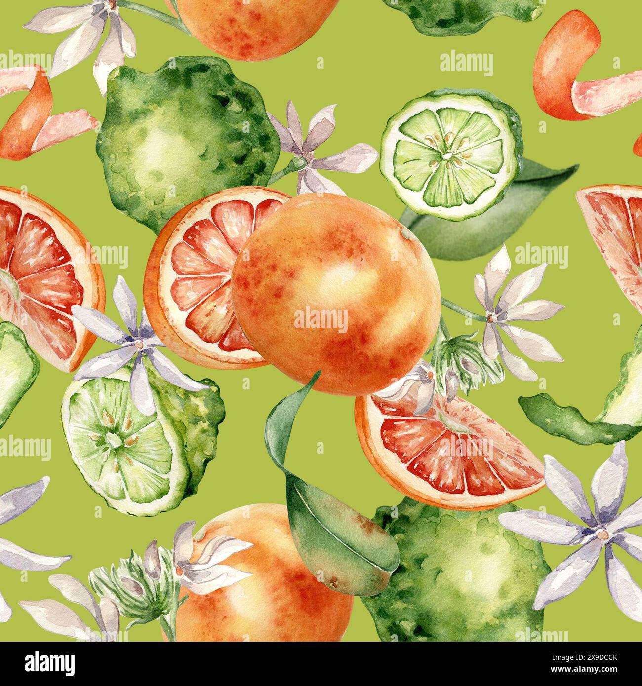 Mixed citrus fruits with white flowers watercolor seamless pattern isolated on green. Hand drawn ...