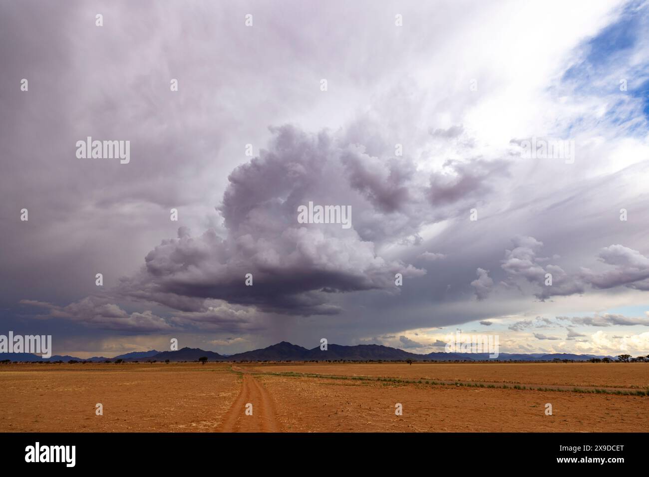 Rain from cumulus clouds in the desert Namib Desert Namibia Stock Photo ...